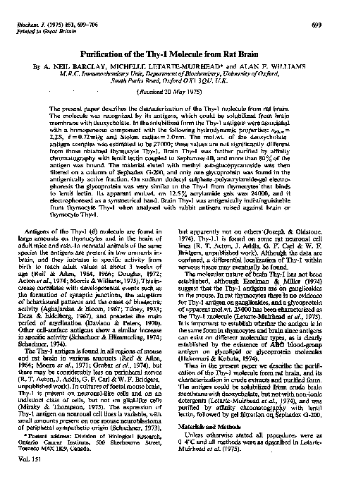 (PDF) Purification of the Thy-1 molecule from rat brain | Michelle ...
