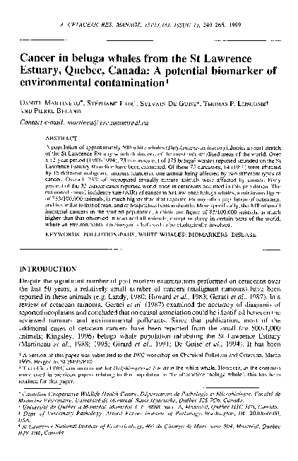 (PDF) Cancer in beluga whales from the St Lawrence Estuary, Quebec ...