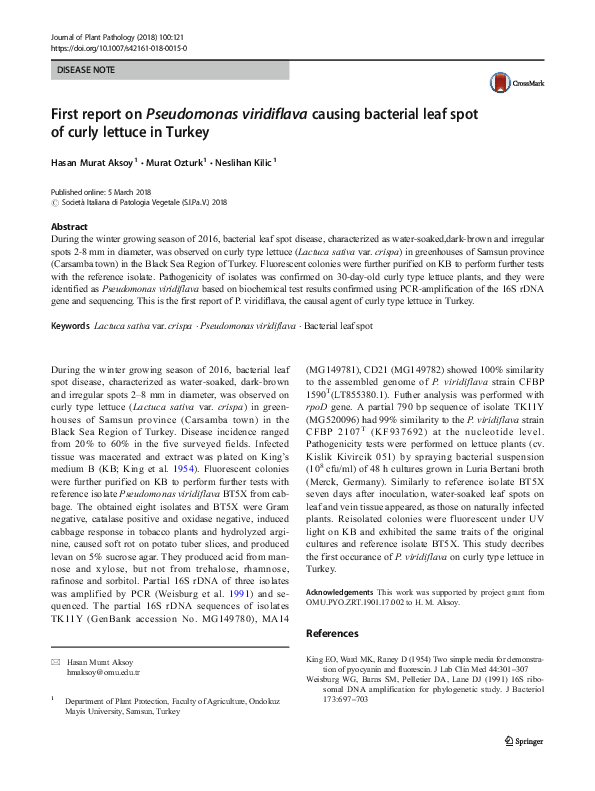 (PDF) First report on Pseudomonas viridiflava causing bacterial leaf ...