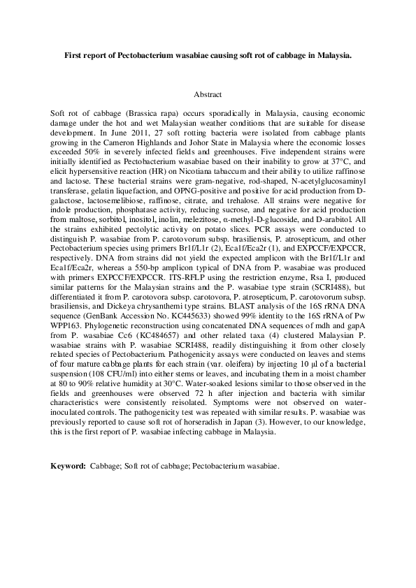 (PDF) First Report of Pectobacterium wasabiae Causing Soft Rot Disease ...
