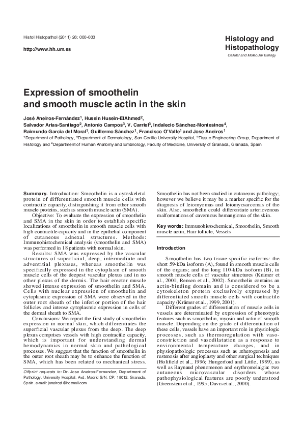 (PDF) Expression of smoothelin and smooth muscle actin in the skin