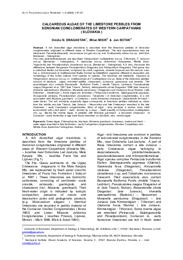 (PDF) Calcareous algae of the limestone pebbles from Senonian ...