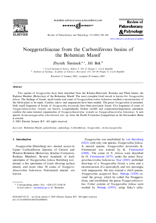 (PDF) Noeggerathiaceae from the Carboniferous basins of the Bohemian Massif