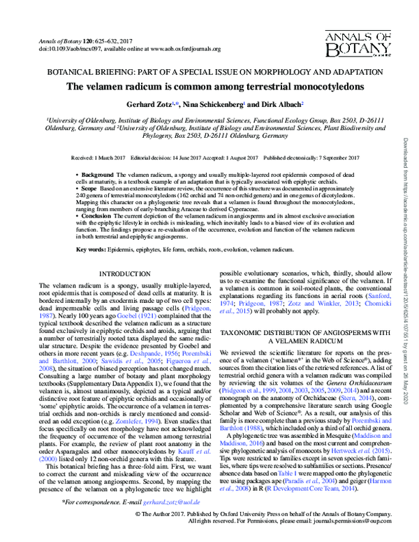 (PDF) The velamen radicum is common among terrestrial monocotyledons