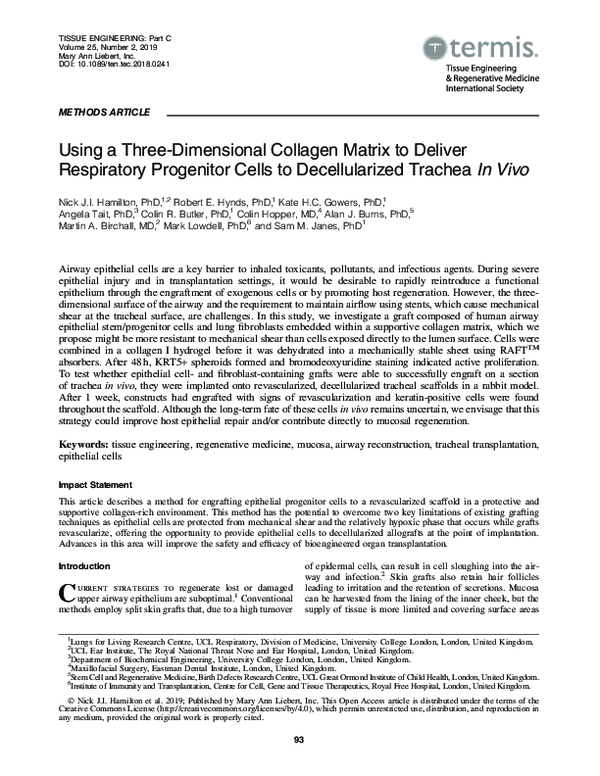 (PDF) Using a 3D collagen matrix to deliver respiratory progenitor ...