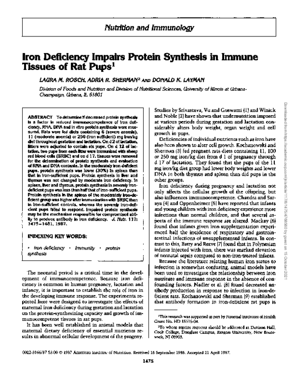 (PDF) Iron deficiency impairs protein synthesis in immune tissues of ...