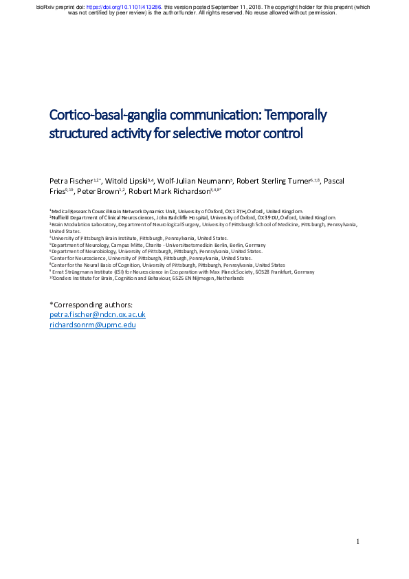 (PDF) Cortico-basal-ganglia communication: Temporally structured ...
