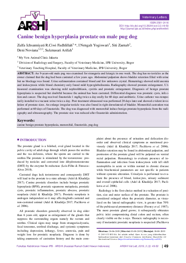 (PDF) Canine benign hyperplasia prostate on male pug dog
