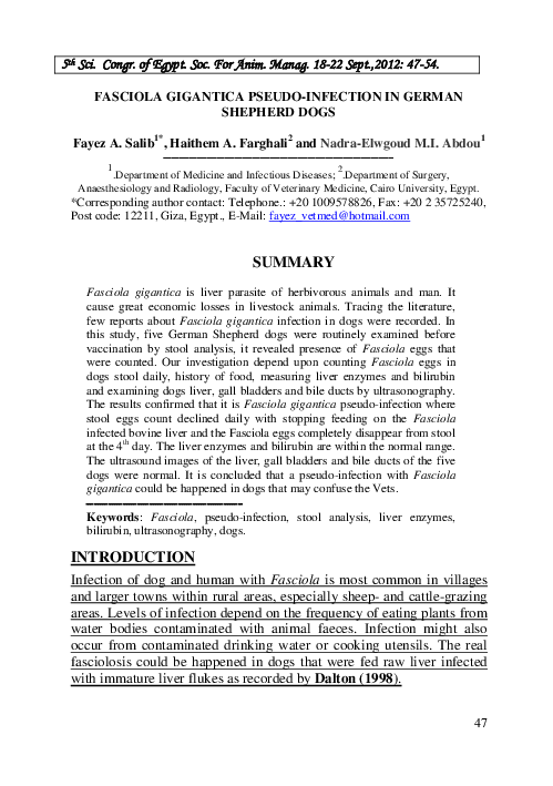(PDF) FASCIOLA GIGANTICA PSEUDO-INFECTION IN GERMAN SHEPHERD DOGS. Fayez A. Salib, Haithem A ...