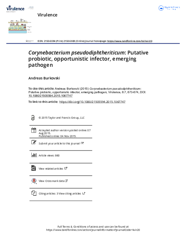(PDF) Corynebacterium pseudodiphtheriticum : putative probiotic ...