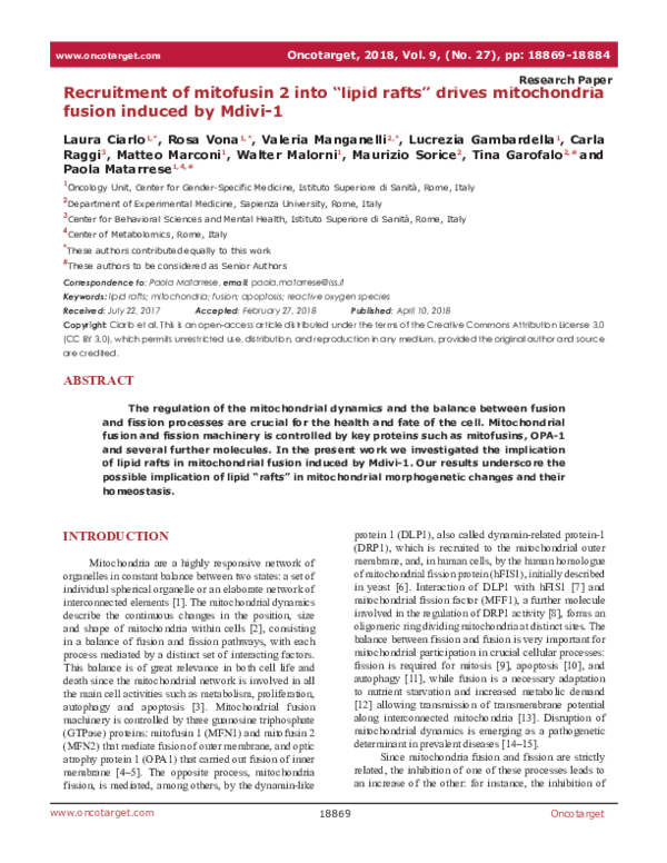 (PDF) Recruitment of mitofusin 2 into "lipid rafts" drives mitochondria ...