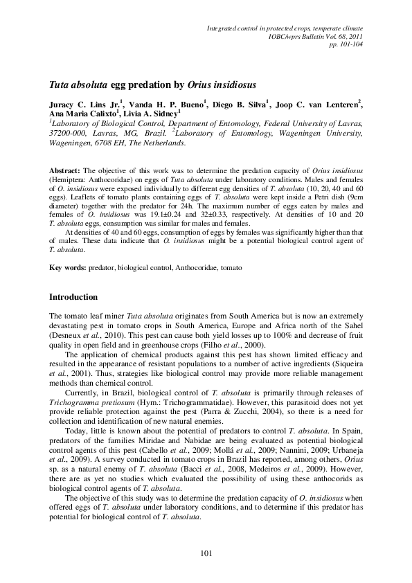 (PDF) Tuta absoluta egg predation by Orius insidiosus