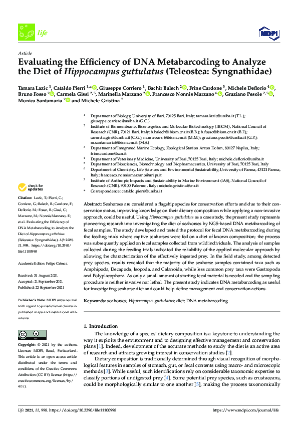 (PDF) Evaluating the Efficiency of DNA Metabarcoding to Analyze the Diet of Hippocampus ...