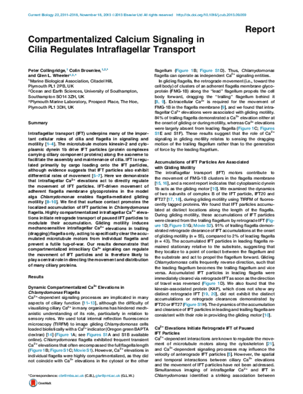(PDF) Compartmentalized Calcium Signaling in Cilia Regulates ...