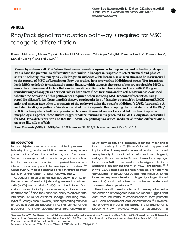 (PDF) Rho/Rock signal transduction pathway is required for MSC ...