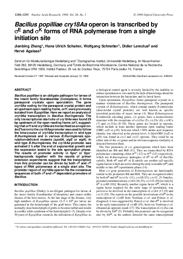 (PDF) Bacillus popilliae cry18Aa operon is transcribed by sigmaE and ...