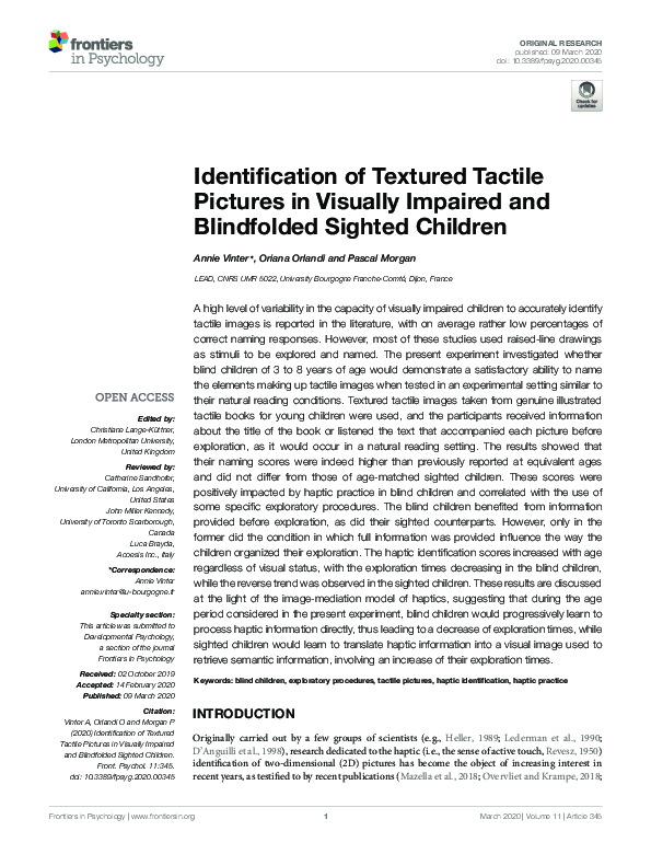 (PDF) Identification of Textured Tactile Pictures in Visually Impaired ...