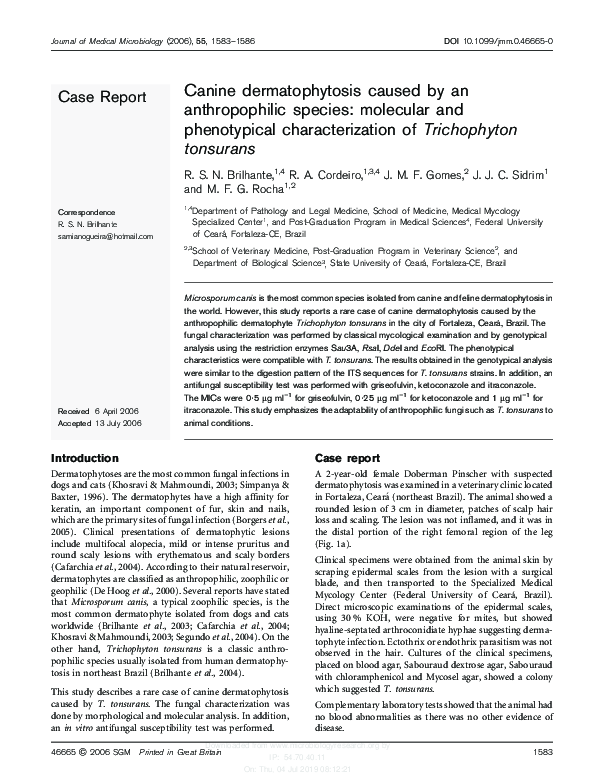 (PDF) Canine dermatophytosis caused by an anthropophilic species ...