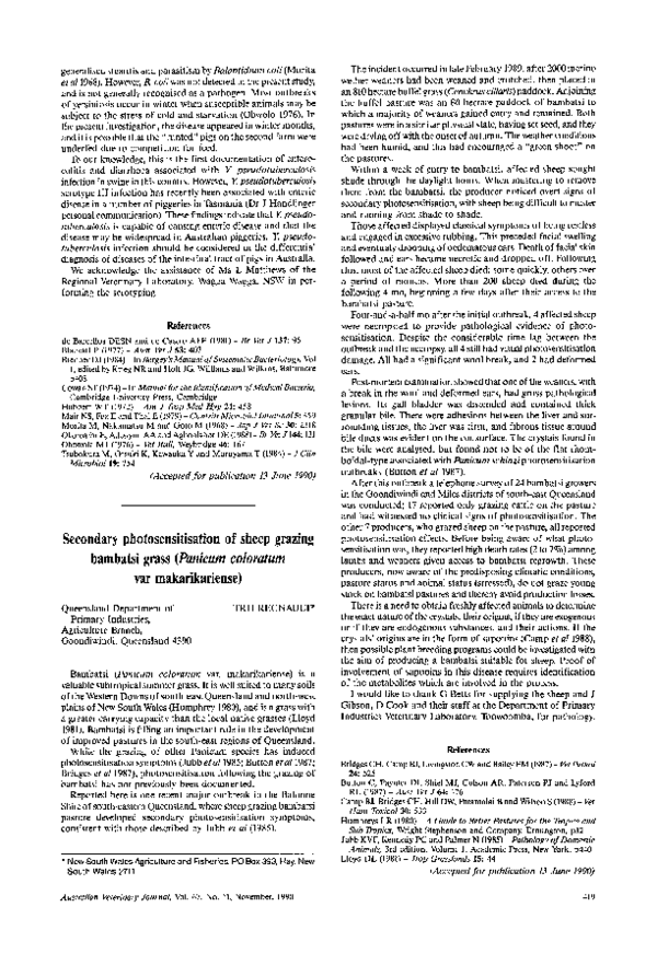 (PDF) Secondary photosensitisation of sheep grazing bambatsi grass ...