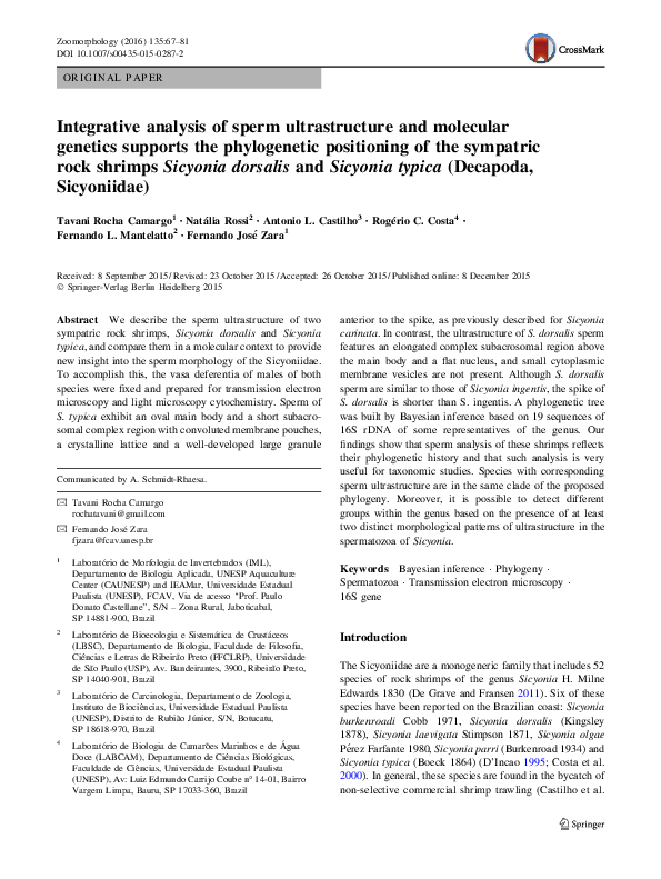 (PDF) Integrative analysis of sperm ultrastructure and molecular ...