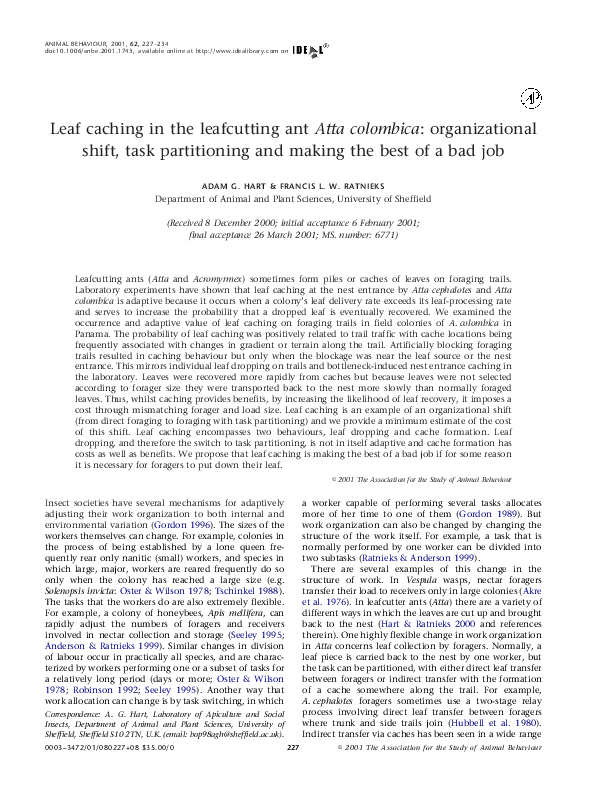 (PDF) Leaf caching in the leafcutting ant Atta colombica ...