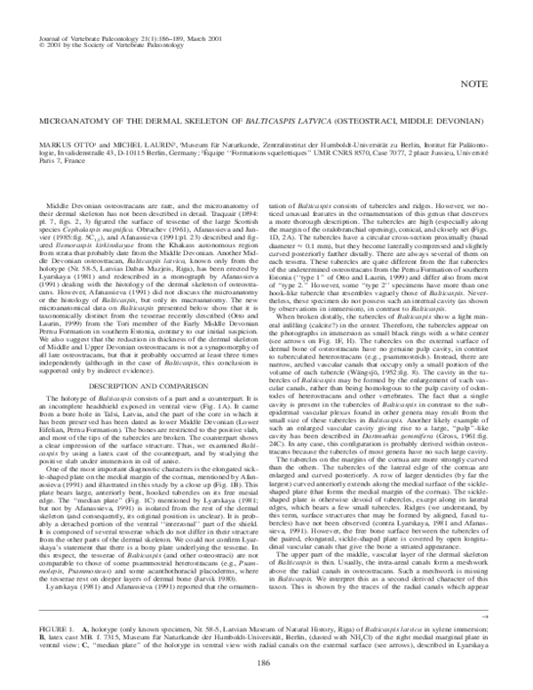 (PDF) Microanatomy of the dermal skeleton of Balticaspis latvica ...