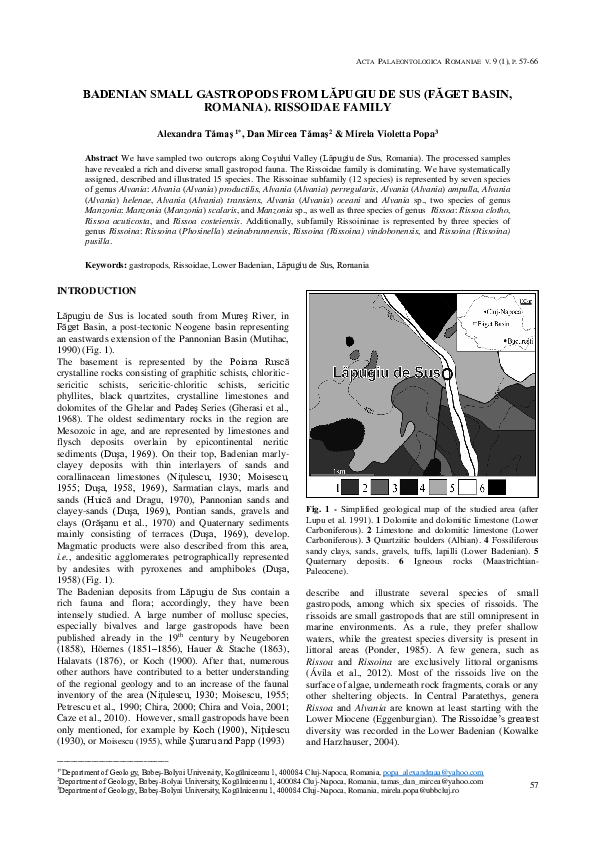 (PDF) Badenian Small Gastropods from Lăpugiu De Sus (Făget Basin ...