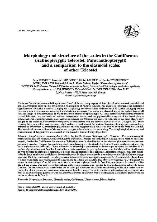 (PDF) Morphology and structure of the scales in the Gadiformes ...