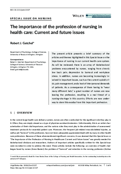 (PDF) The importance of the profession of nursing in health care ...