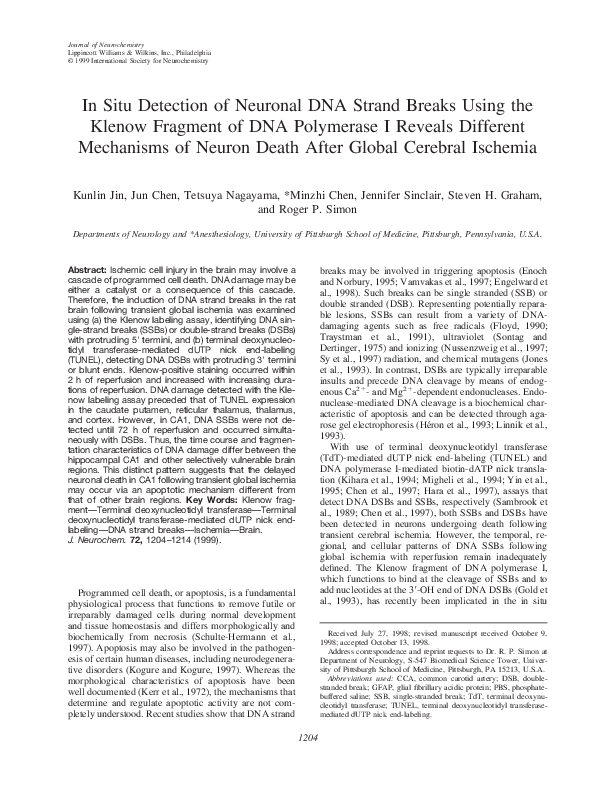 (PDF) In Situ Detection of Neuronal DNA Strand Breaks Using the Klenow ...