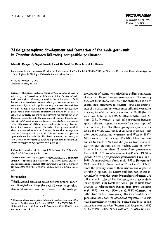 (PDF) Male gametophyte development and formation of the male germ unit ...