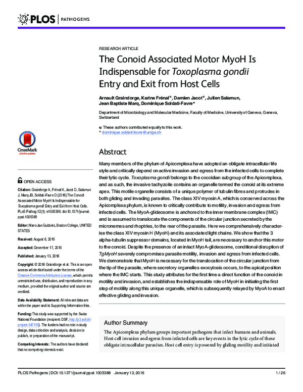 (PDF) The Conoid Associated Motor MyoH Is Indispensable for Toxoplasma ...