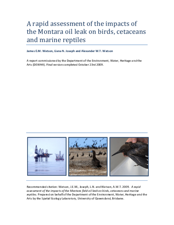 (PDF) A rapid assessment of the impacts of the Montara field oil leak ...