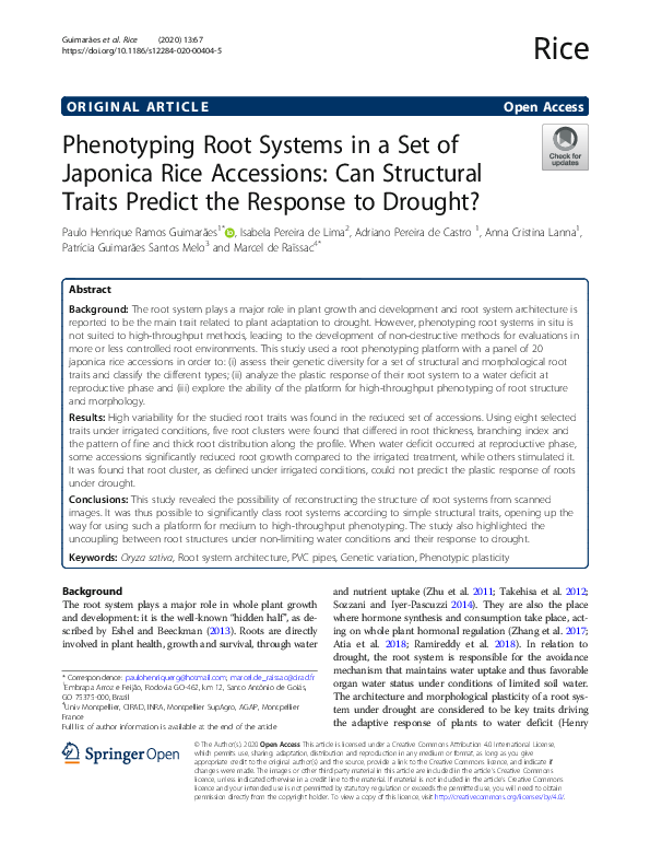 (PDF) Phenotyping Root Systems in a Set of Japonica Rice Accessions ...