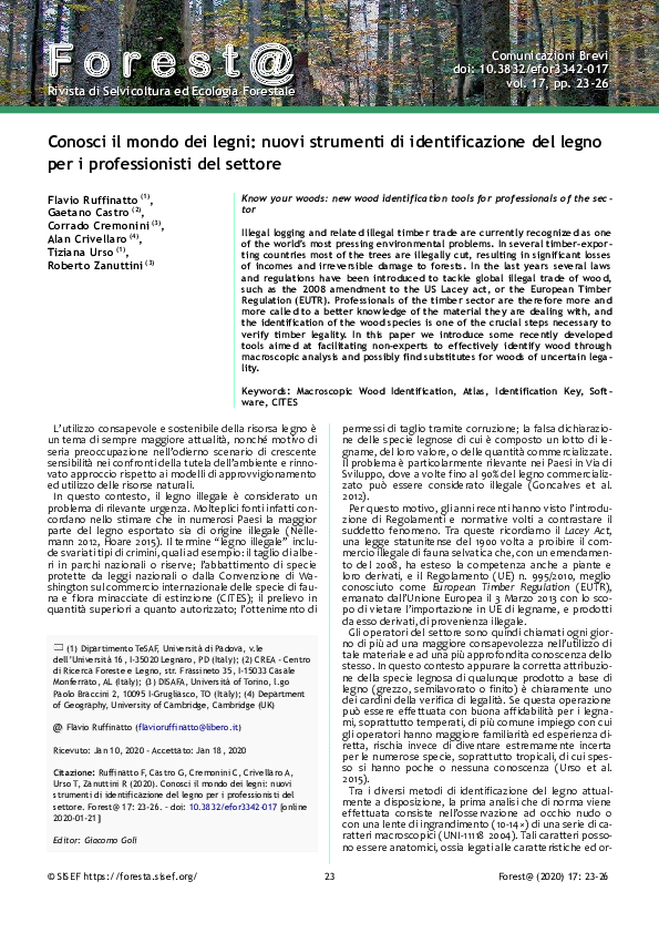 (PDF) Know your woods: new wood identification tools for professionals ...