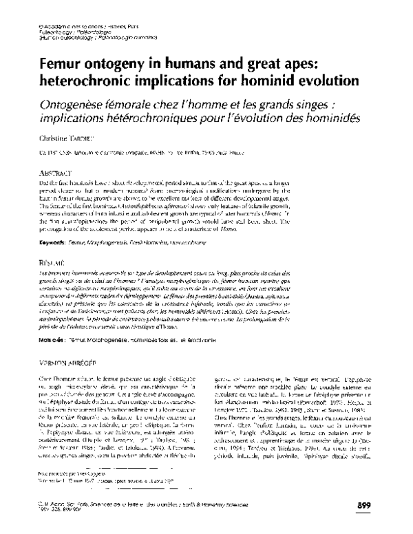 (PDF) Femur ontogeny in humans and great apes: heterochronic ...