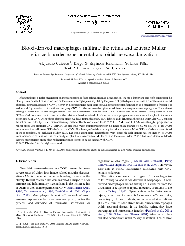 (PDF) Blood-derived macrophages infiltrate the retina and activate ...