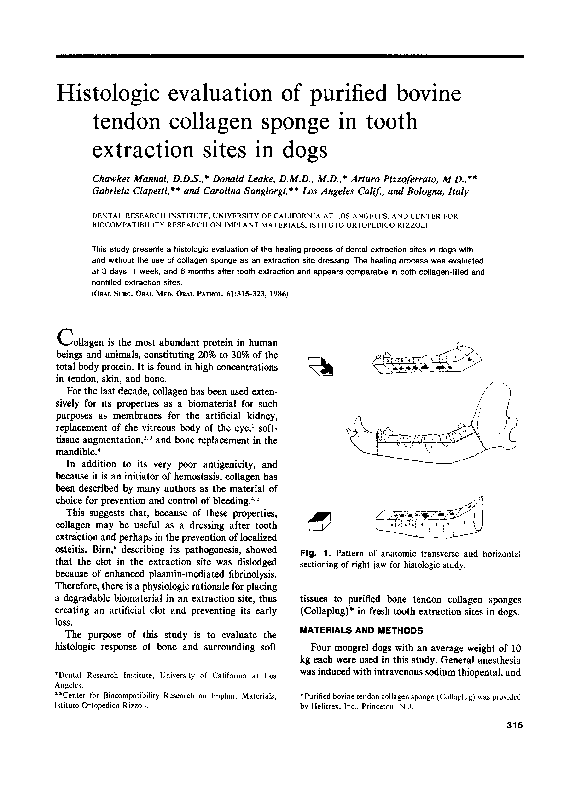 (PDF) Histologic evaluation of purified bovine tendon collagen sponge ...