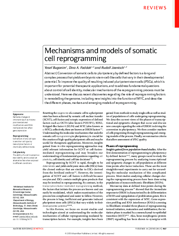 (PDF) Mechanisms and models of somatic cell reprogramming
