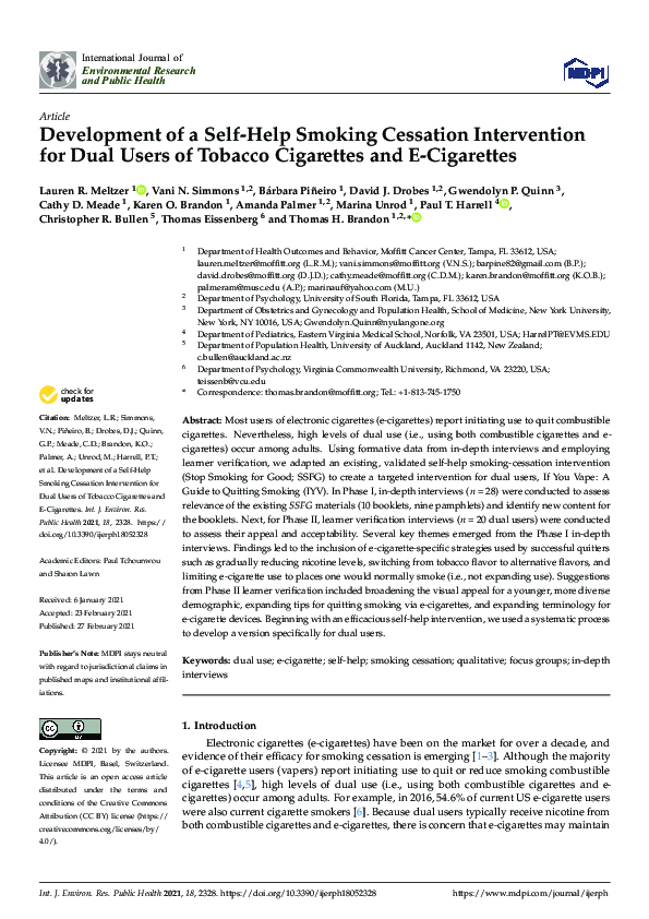 (PDF) Development of a Self-Help Smoking Cessation Intervention for ...