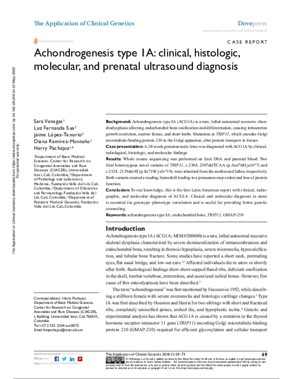 (PDF) Achondrogenesis type 1A: clinical, histologic, molecular, and ...