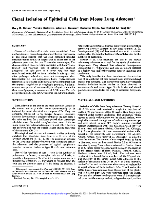 (PDF) Clonal isolation of epithelial cells from mouse lung adenoma