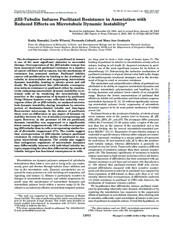 (PDF) III-Tubulin Induces Paclitaxel Resistance in Association with ...