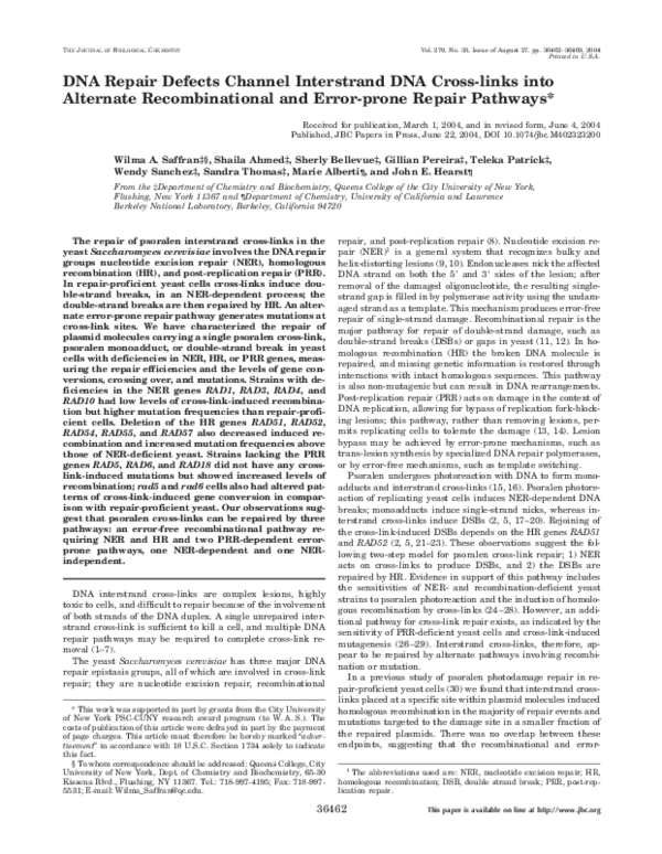 (PDF) DNA repair defects channel interstrand DNA cross-links into ...