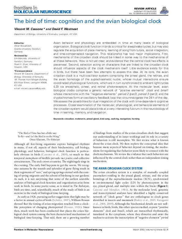 (PDF) The bird of time: cognition and the avian biological clock