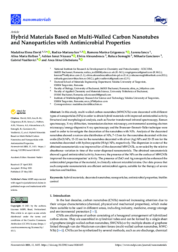 (PDF) Hybrid Materials Based on Multi-Walled Carbon Nanotubes and Nanoparticles with ...