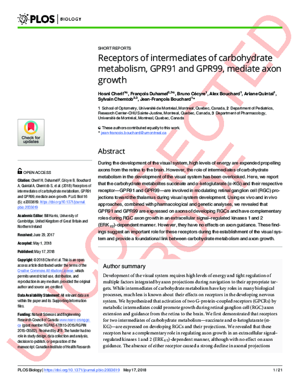(PDF) Receptors of intermediates of carbohydrate metabolism, GPR91 and ...