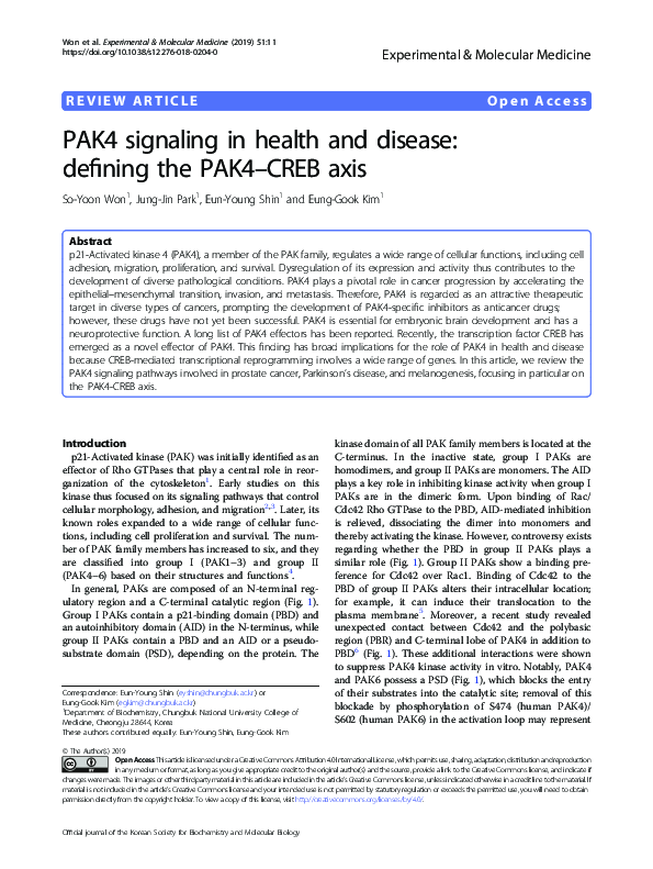 (PDF) PAK4 signaling in health and disease: defining the PAK4–CREB axis