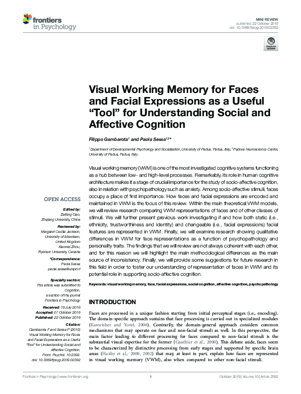 Pdf Visual Working Memory For Faces And Facial Expressions As A Useful Tool” For