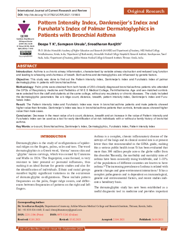(PDF) Pattern Intensity Index, Dankmeijer’s Index and Furuhata’s Index ...